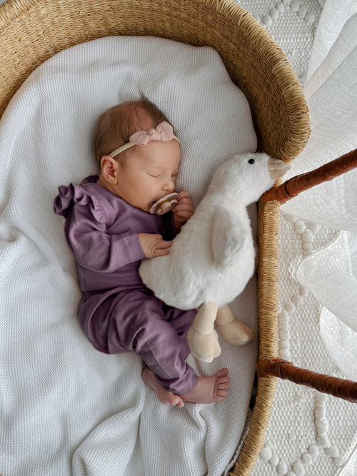 Black Friday Essentials 2025