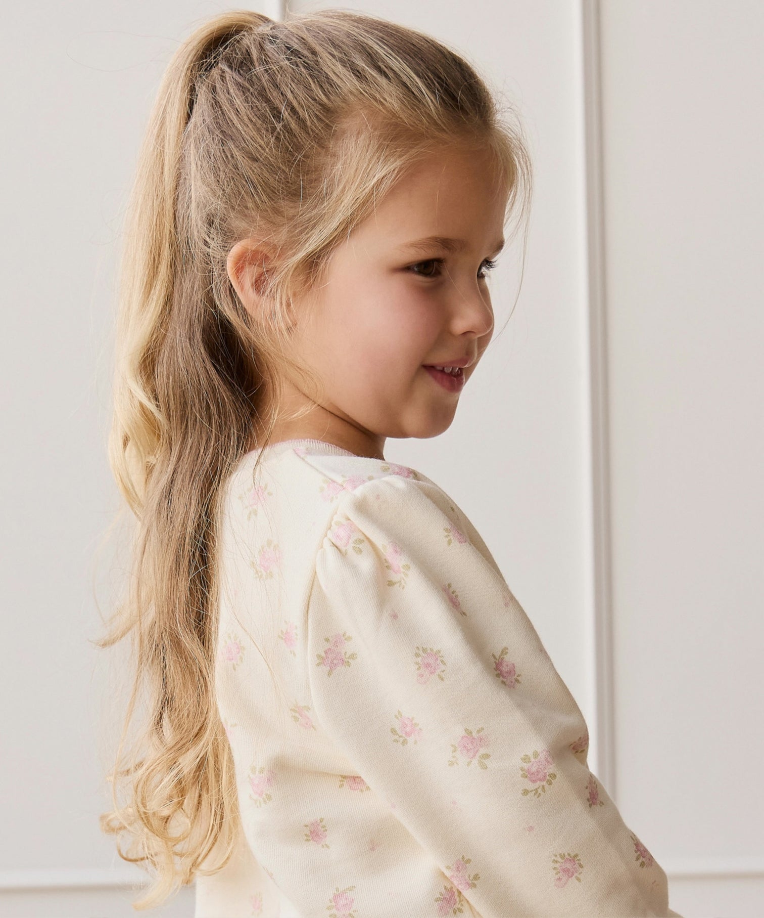 Willow Collection